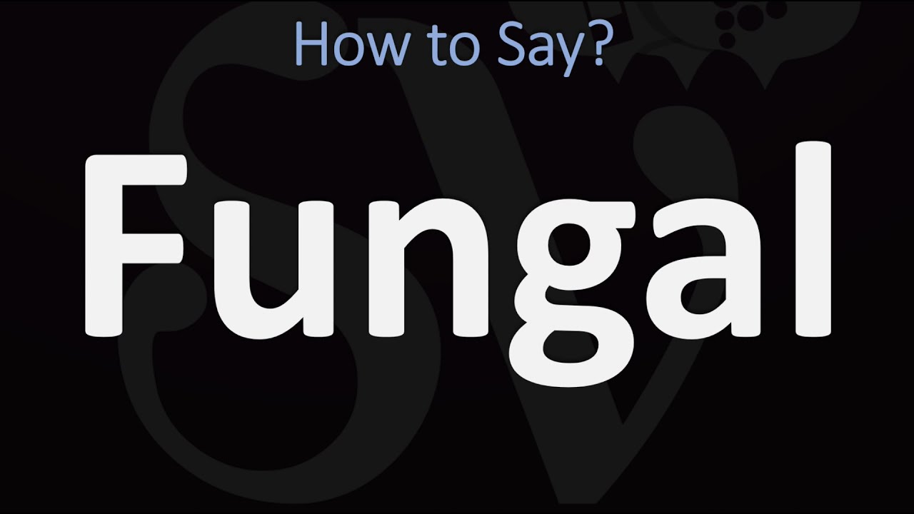 How to Pronounce Fungal? (CORRECTLY) - YouTube