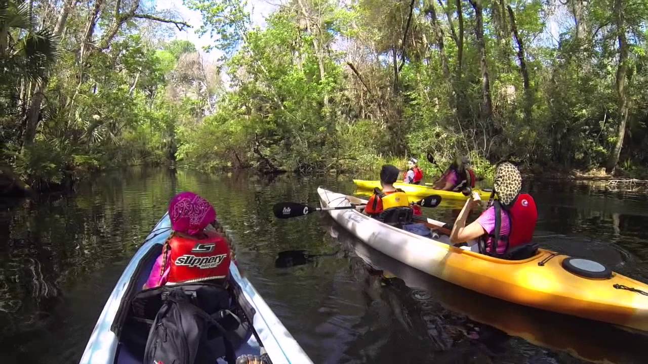 Kayaking @ Rock Springs Run (Apopka, Florida, USA) - YouTube