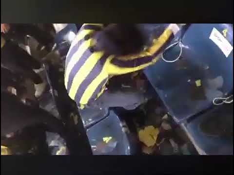Koltuklara kafa atan fenerbahçelinin dramı