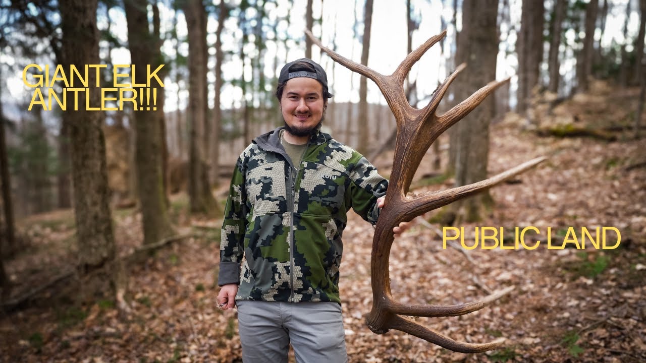 The Hunt For A Giant Pennsylvania Target Bull! - YouTube
