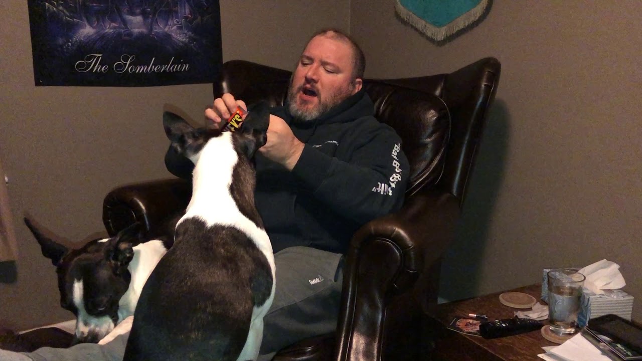 Head 2 Head Review: Snickers Peanut Butter Squares vs. Hershey Reese's ...