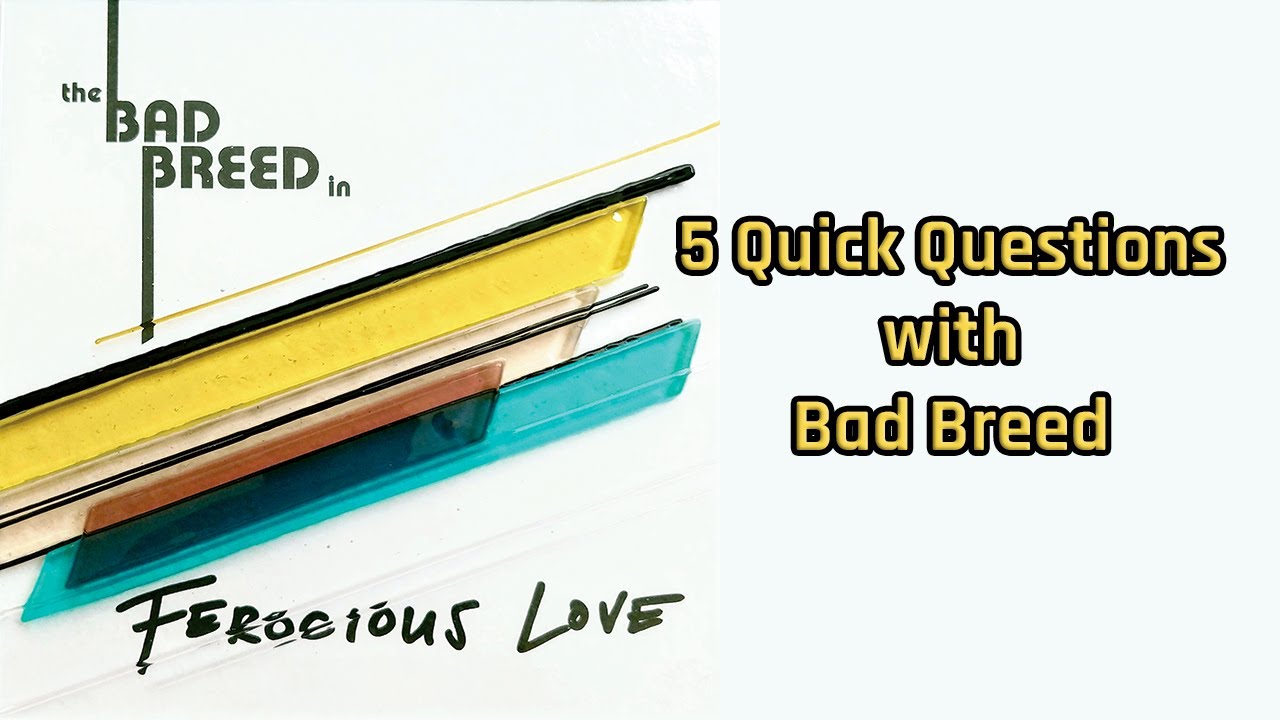 5 Quick Questions with Bad Breed - YouTube