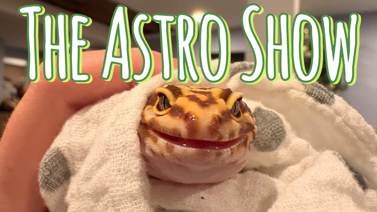 THE ASTRO SHOW TRAILER - YouTube
