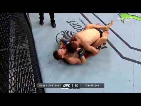 khabib vs conor meme