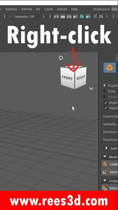 How to Display ViewCube in Maya 2023 #shorts #mayatutorial @rees3d - YouTube
