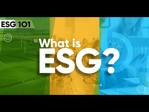 What is ESG?| ESG 101 |Myytake - YouTube