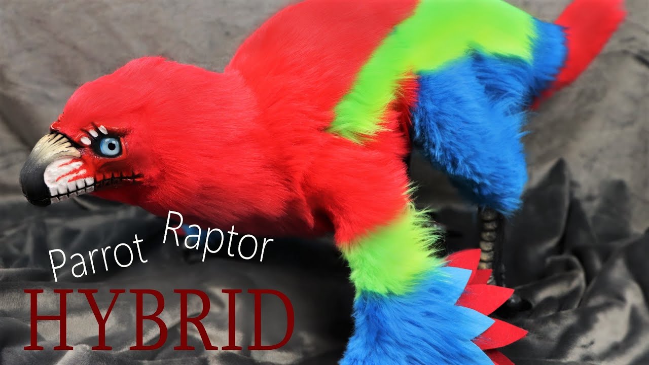 Making A Scarlet Macaw Raptor Hybrid || Creature Design Art Doll ...