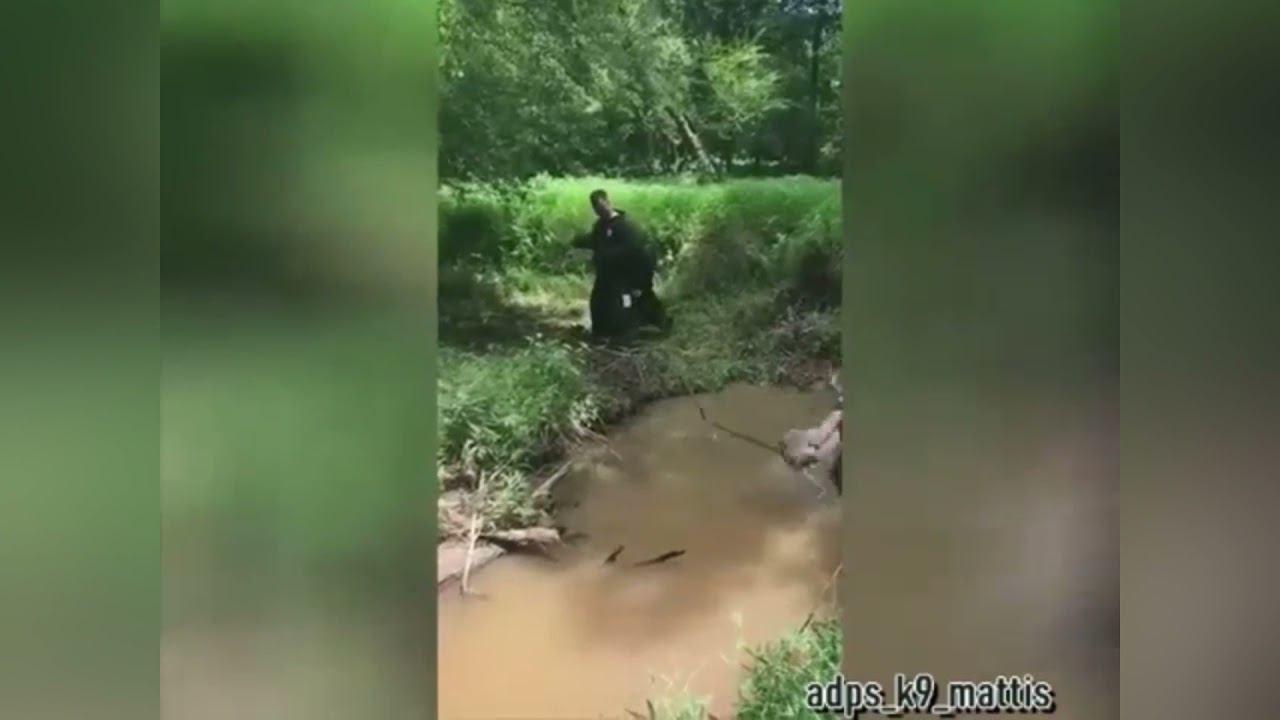 Water training - YouTube