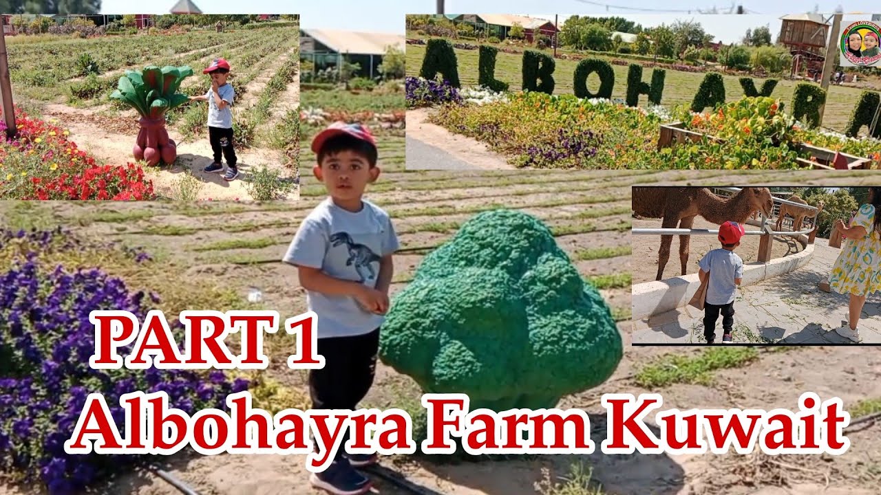 Albohayra Farm, Abdally Kuwait. Part 1. 2nd day of Eid - YouTube