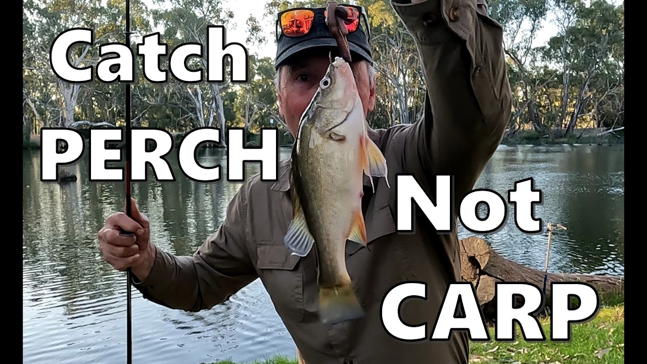 Avoid CARP - Catch EVERYTHING Else - YouTube