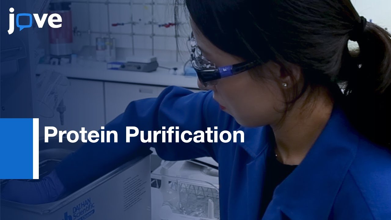 Preparation: Poly(pentafluorophenyl acrylate) Functionalized SiO2 Beads ...