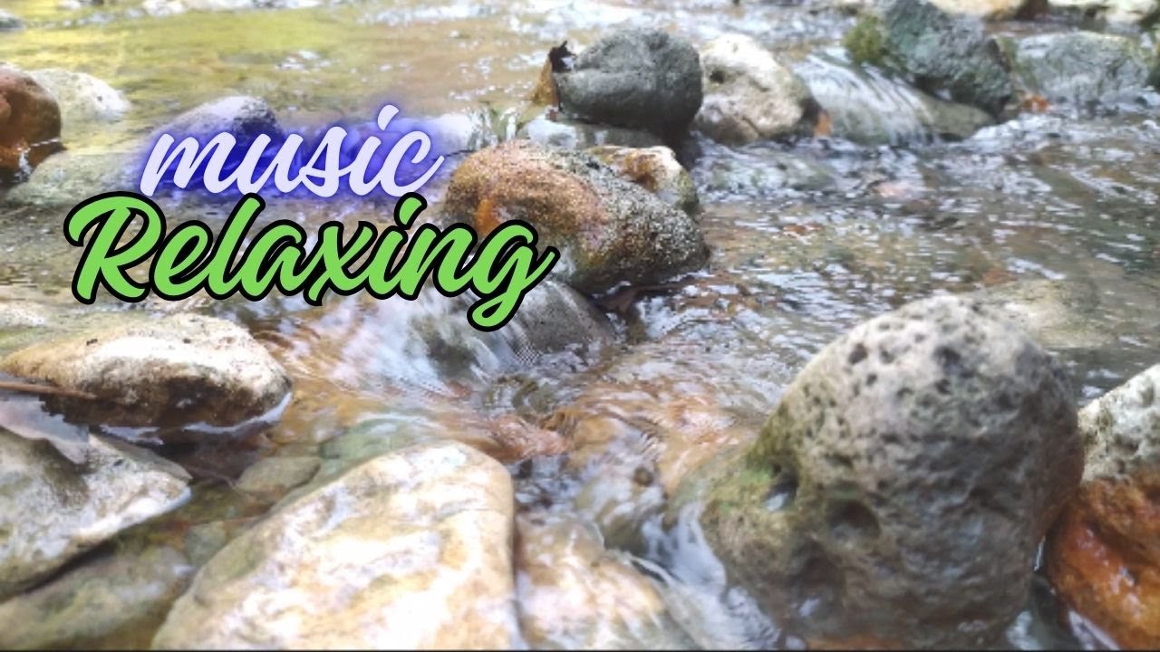 Gentle River & Soft Music | Brain Relaxing Tunes for Sleep & Relaxation ...