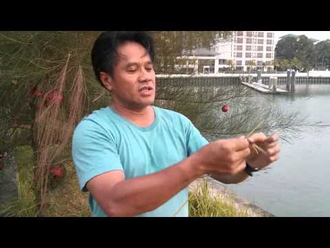 The Flying Lalang - YouTube