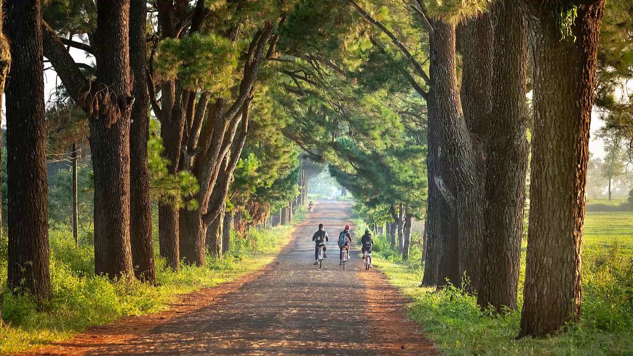 Relaxing Country Folk Music with Farm Vibes for Relaxing or while ...