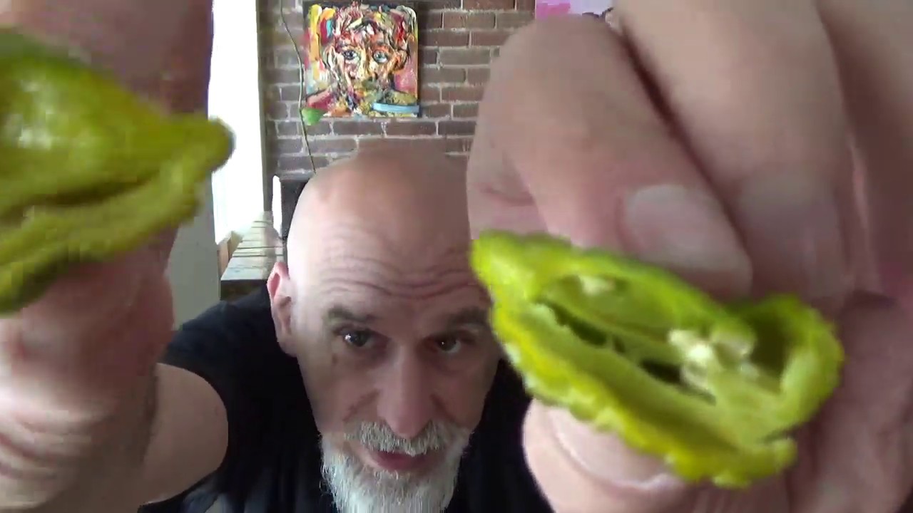 A Mustard Bomb Pepper Review grown by Tom Broome from Seriously Hot ...