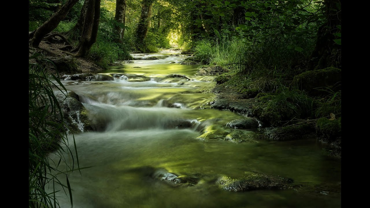 Smooth and Cool - Experience the Relaxing Sound of calm electronic ...