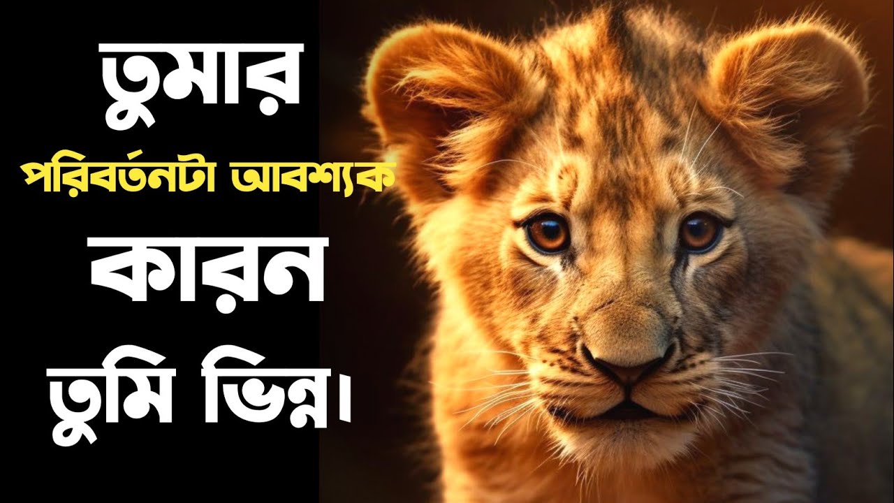 "গন্তব্যের চেয়ে বেশি তুমার যাত্রা গুরুত্বপূর্ণ হয়। Bangla Motivational Video (Change Mentality ...