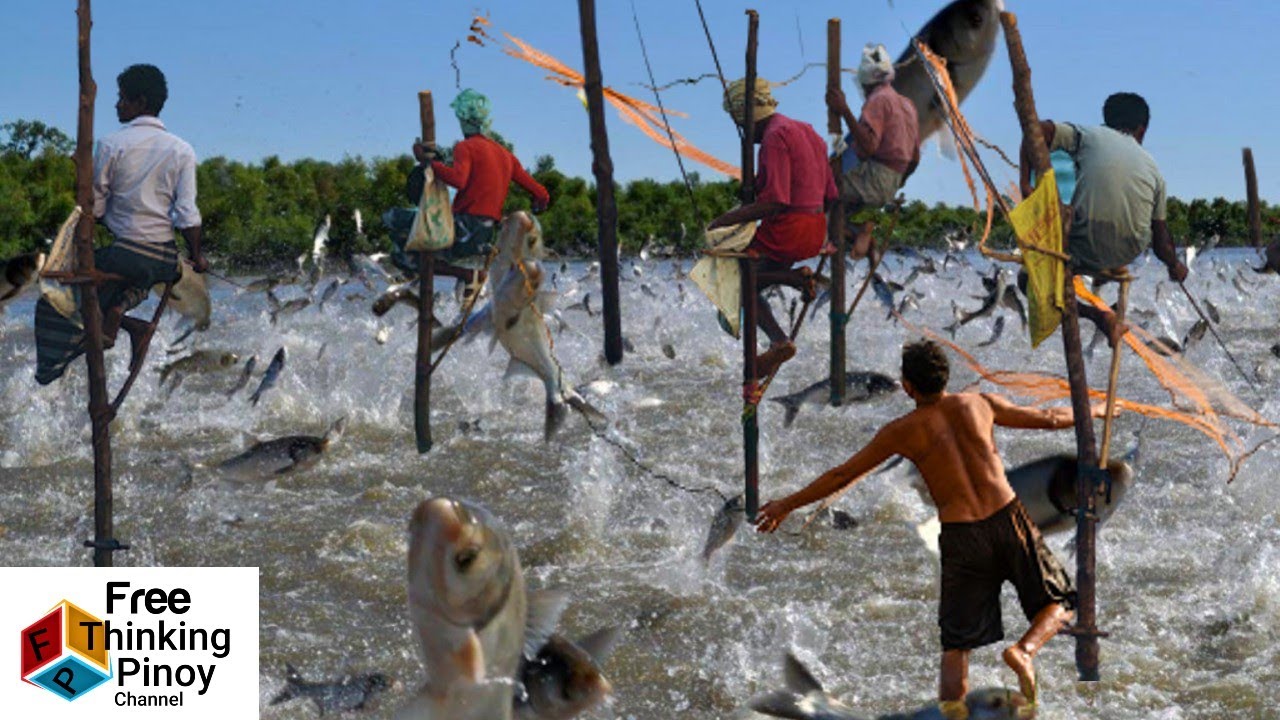 9 Traditional Ways of Catching Fish Around the World | PAANO HUMULI NG ...