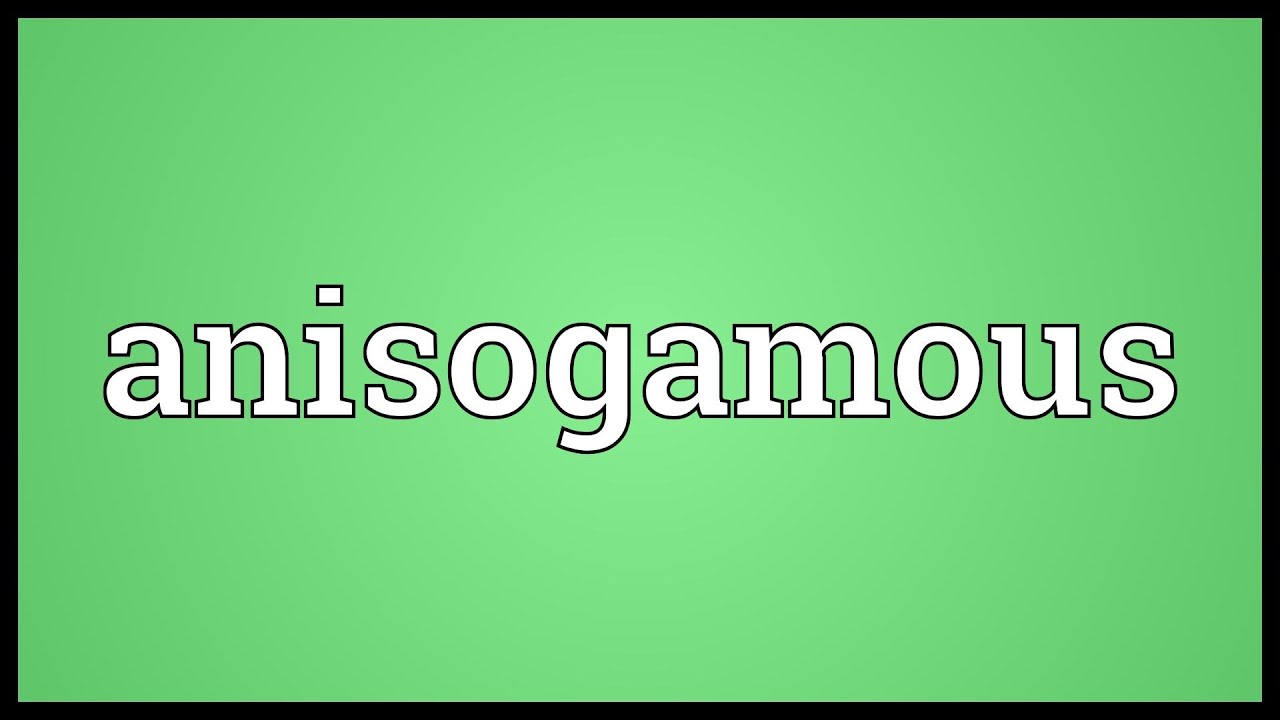 Anisogamous Meaning - YouTube