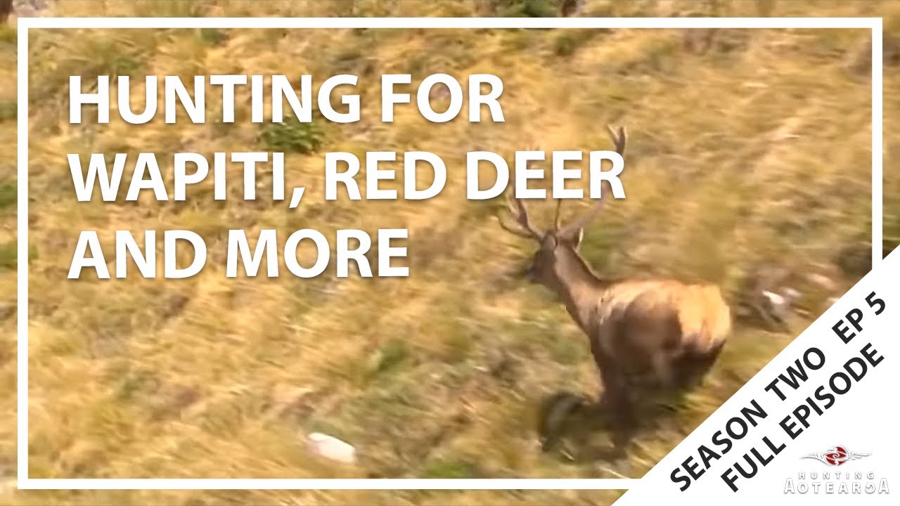 Hunting Aotearoa S02EP05 - Hunting for Wapiti, Red Deer and more - YouTube