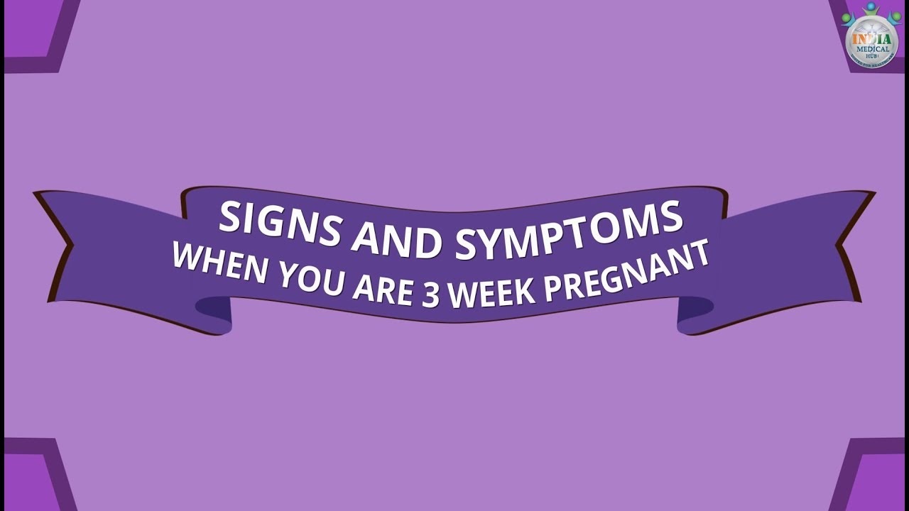 How Your Fetus Appears at 3rd Week of Pregnancy (Part 2) - YouTube