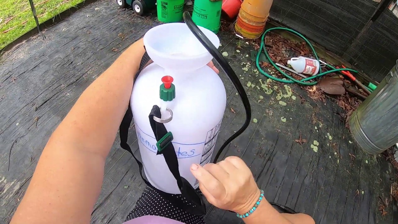 Spraying Beneficial Nematodes - YouTube