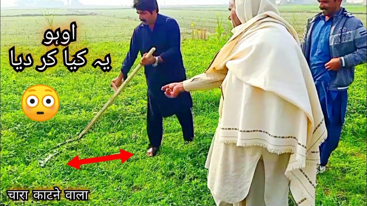 Animal fodder cutter | hand fodder cutting machine | cattle food cutter ...