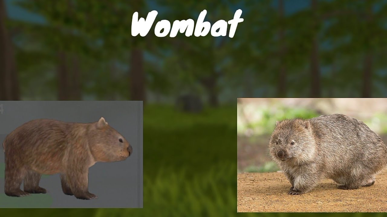 Wildcraft VS Real Life!!!!! Australia Map animals vs real life - YouTube