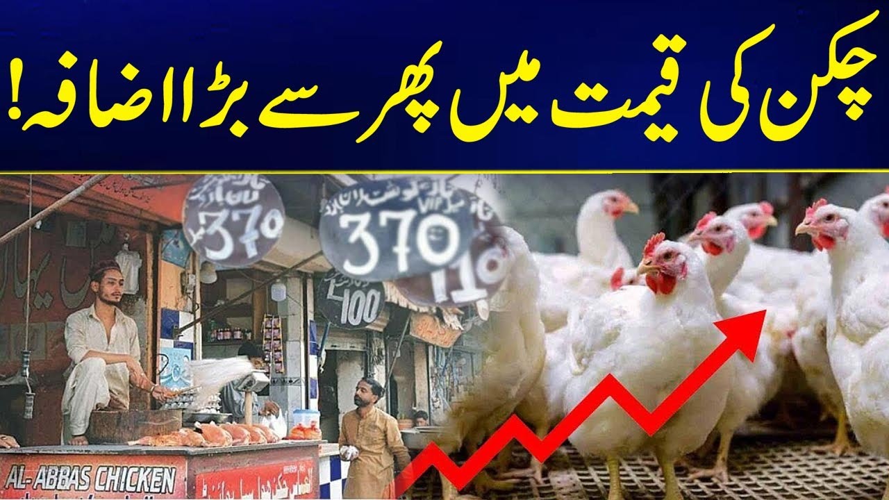 Big Increase In Chicken Prices Again | Rate List | Breaking News | City ...