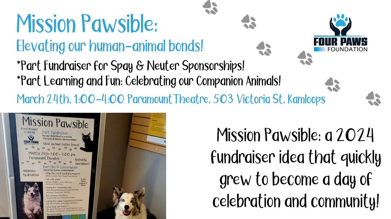 Four Paws Foundation: Mission Pawsible - Strengthening Our Human-Animal ...