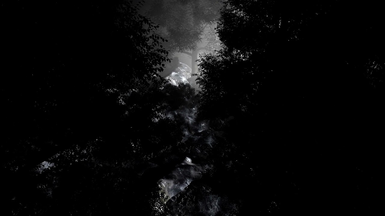 DARK FOREST VIDEO FOOTAGE - THE DARK FOREST AT NIGHT FREE HD VIDEO ...