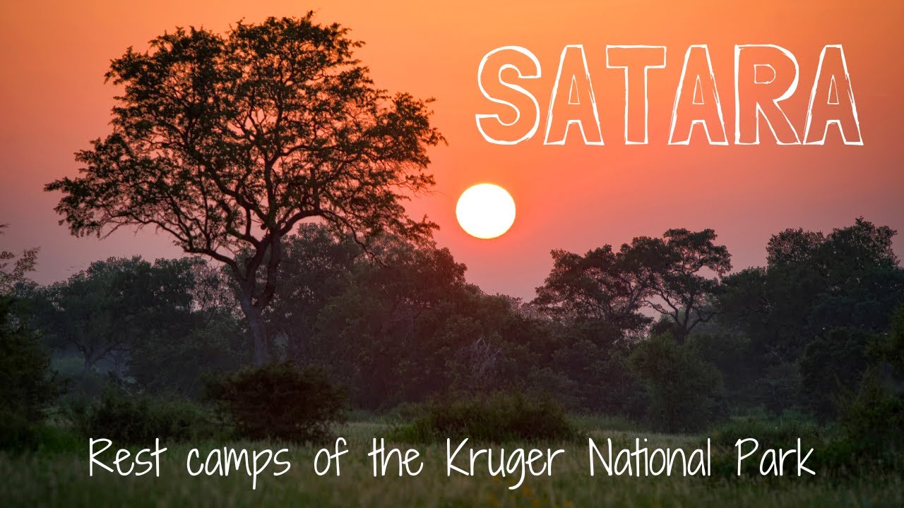 SATARA Rest Camp Review | Kruger National Park Accommodation #2 - YouTube