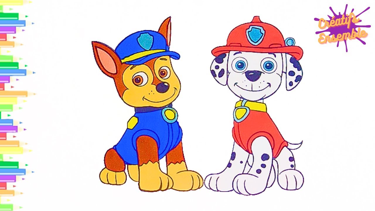 CHASE et MARCUS - PAT' PATROUILLE 🐶 Coloriage en musique. - YouTube