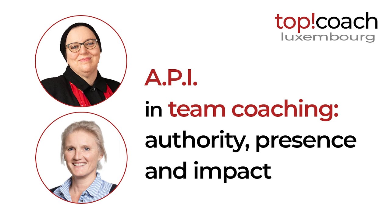 top!team - the API model: authority, presence and impact - a team ...