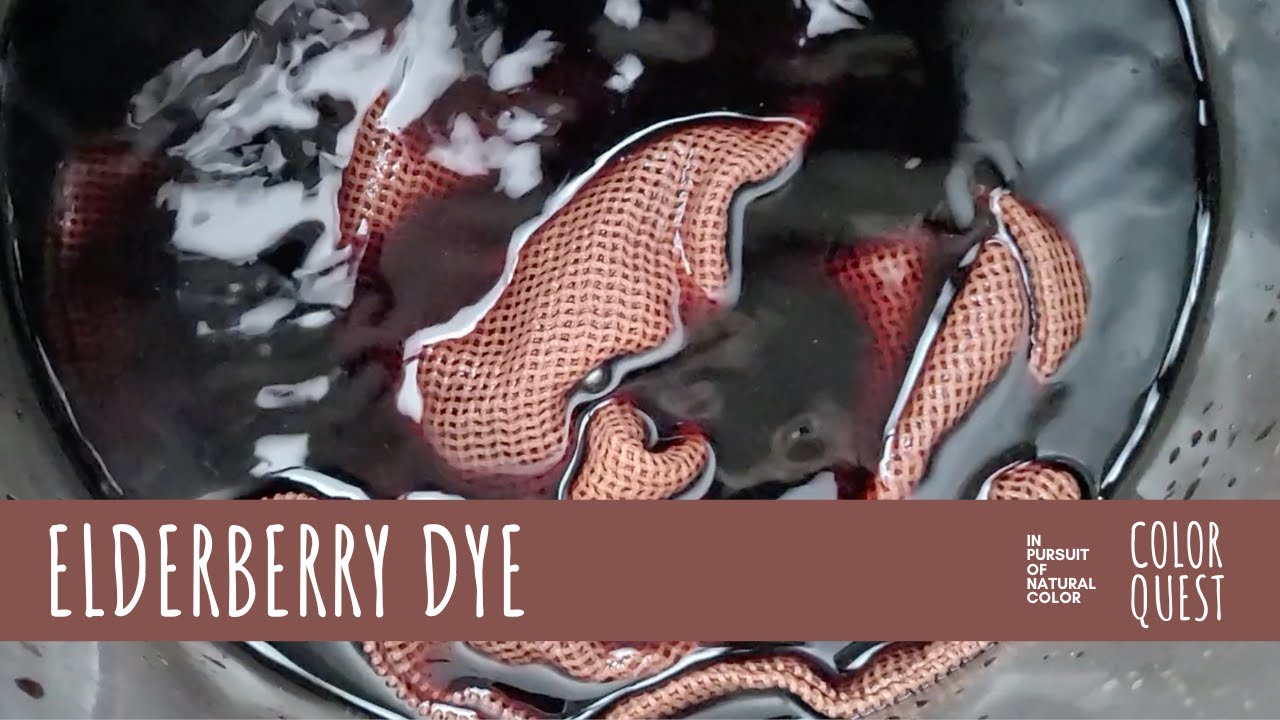 HOW TO MAKE NATURAL DYE WITH ELDERBERRY | ORGANIC COLOR | MAUVE BEIGE ...