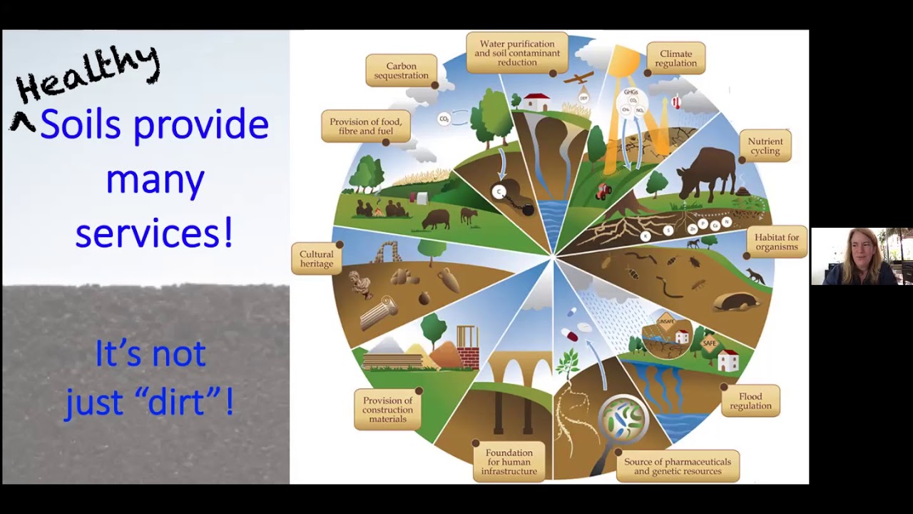 The Life in Our Soils - YouTube