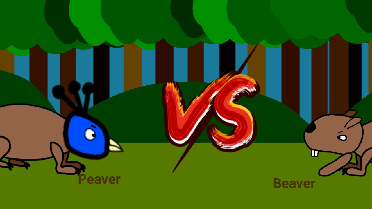 Peaver vs beaver | hybrid animals combined with Peacock vs animals ...