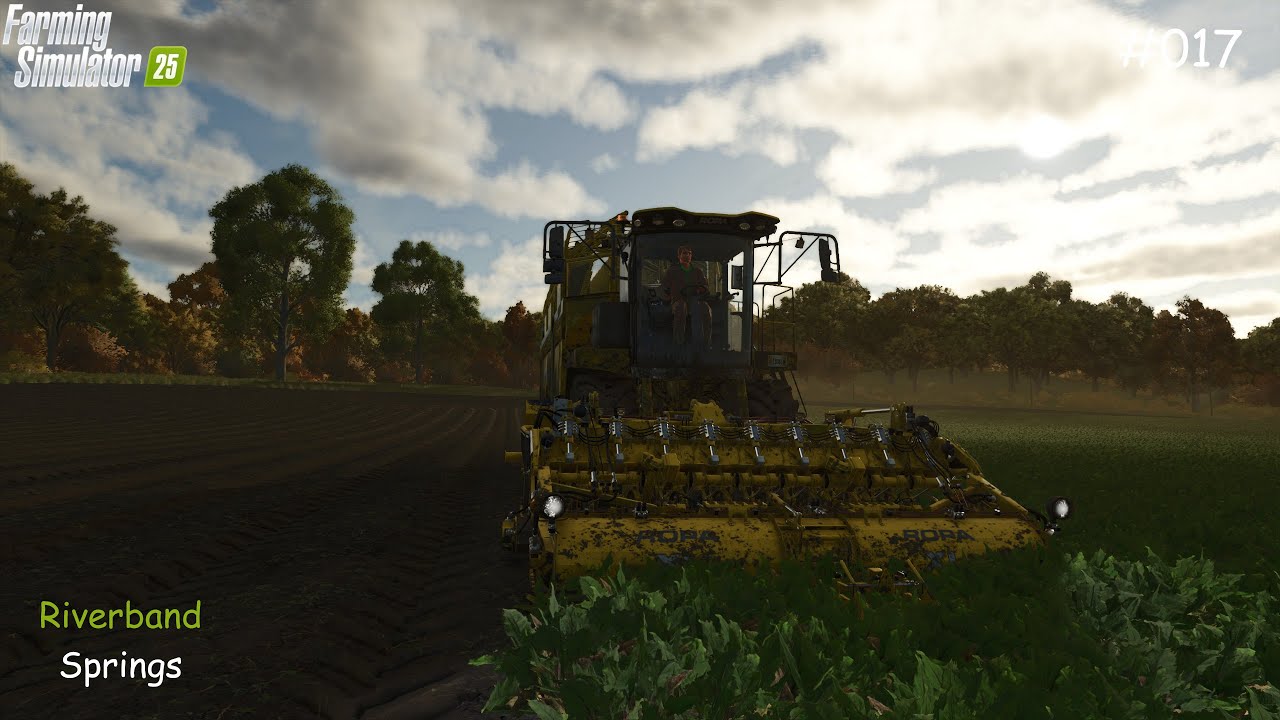 LS25|Riverband Springs| Rote Beete und Karotten ernten|#017| FS25 - YouTube