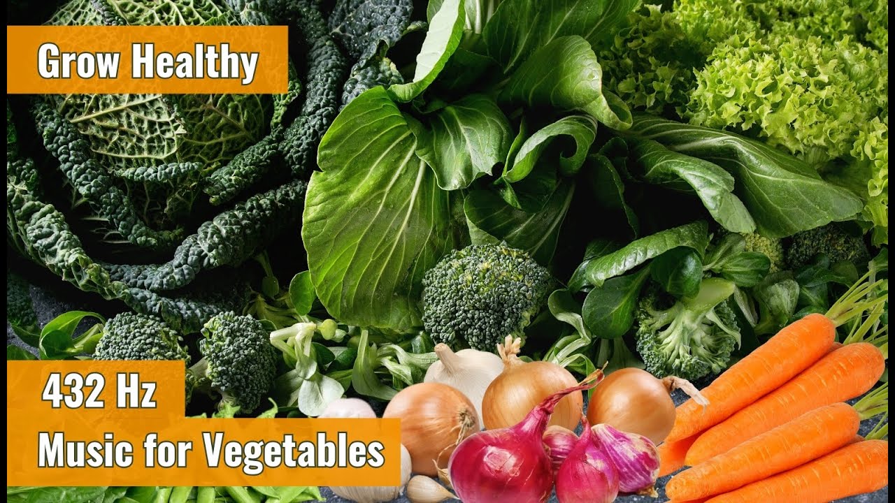 432 Hz Music for Vegetables: Boost Garden Growth and Harvest Abundance ...