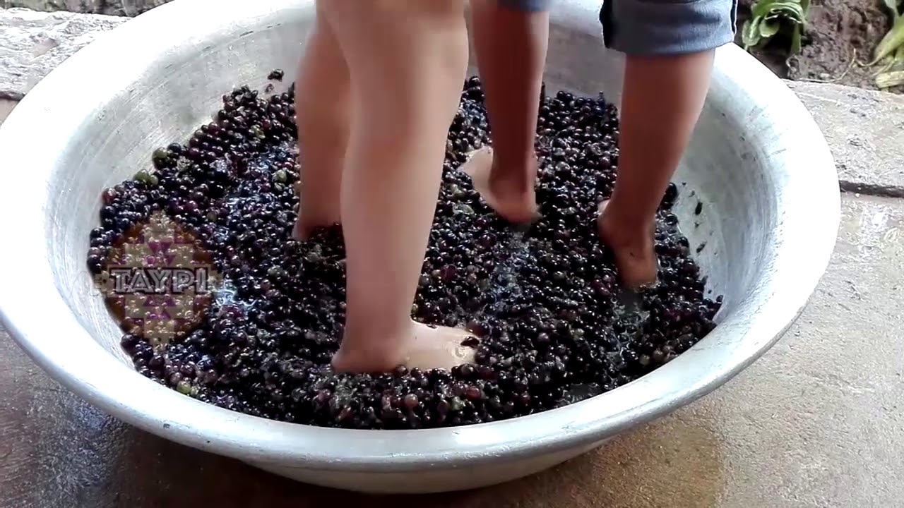 ELABORACION DEL GUARAPO - YouTube