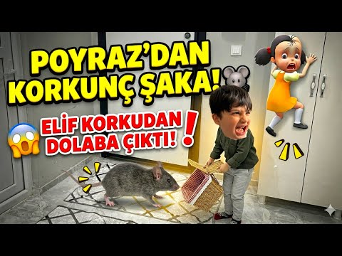 POYRAZ ELA KÖTÜ BİR ŞAKA HAZIRLADI ! SEPETİN İÇİNDEN FARE ÇIKTI !