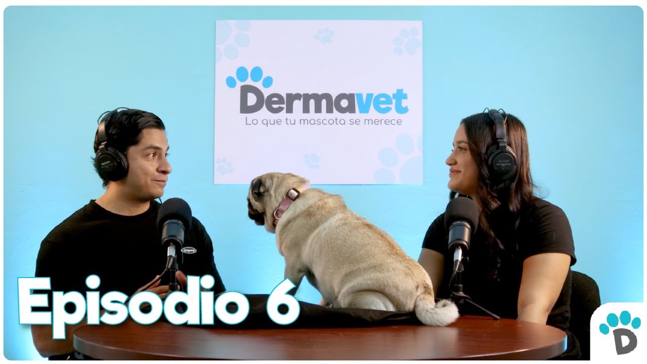 Dermavet #6 - Antonio Agurcia: Entrenamiento Canino y Buenos Hábitos ...