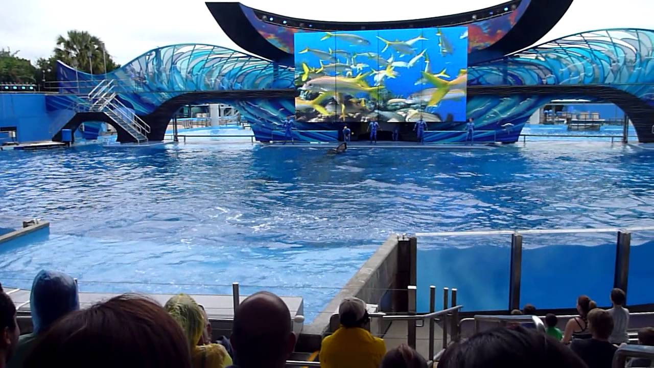 Shamu Show (1/3) @ Orlando SeaWorld - YouTube