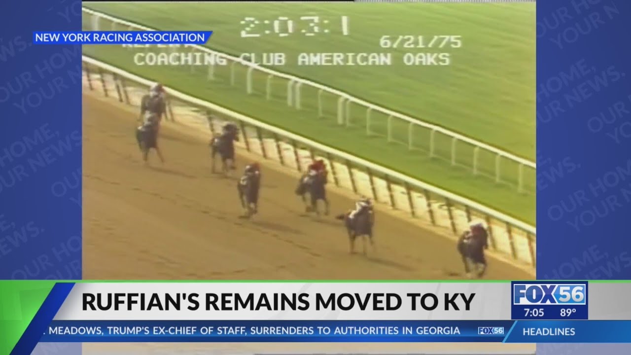 Ruffian's remains relocated from New York's Belmont Park to Claiborne ...