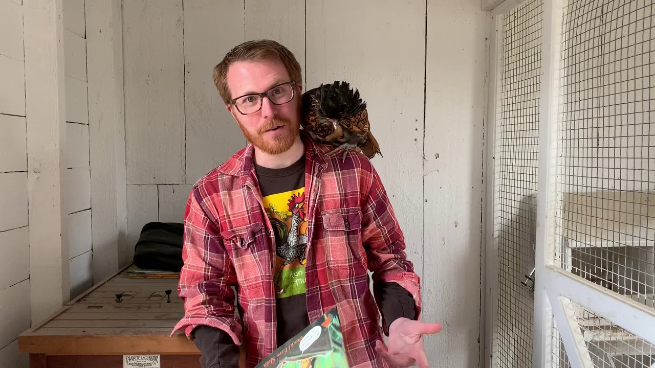 Jonathon reading Interrupting Chicken with a Chicken - YouTube