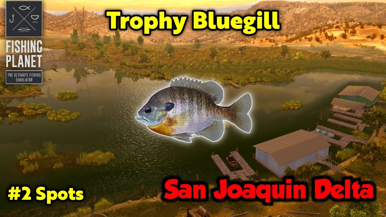 Trophy Bluegill San Joaquin Delta - Fishing Planet - YouTube