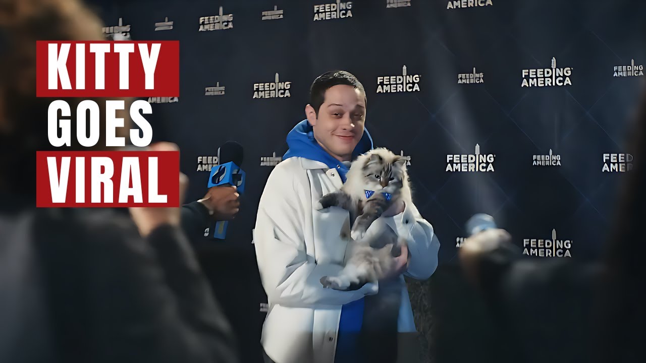 Hellmann’s Big Game - Mayo Cat - YouTube