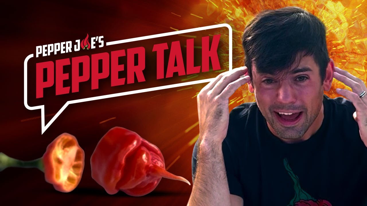 Apocalypse Scorpion Pepper Talk - Keaton eats ONE OF THE HOTTEST ...