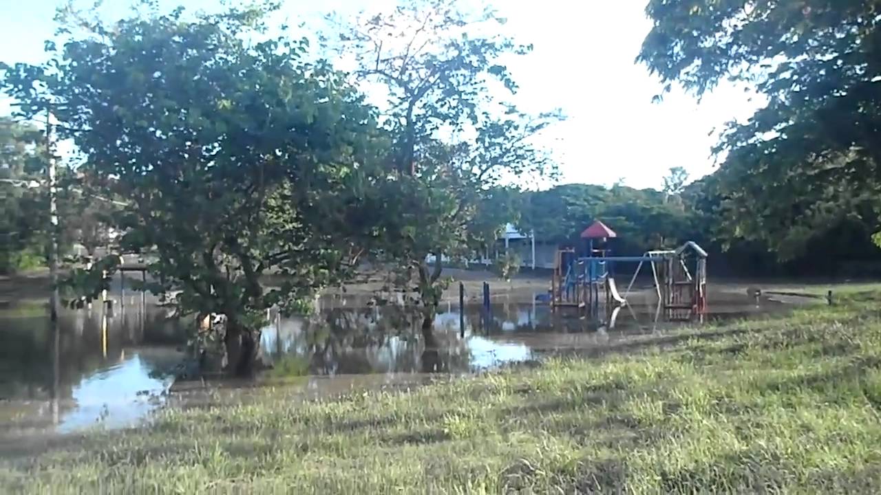 Yeronga Flood 2011, Orsova Road - YouTube