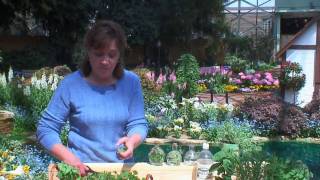 How to Prune Herbs - Food & home - ModernMom